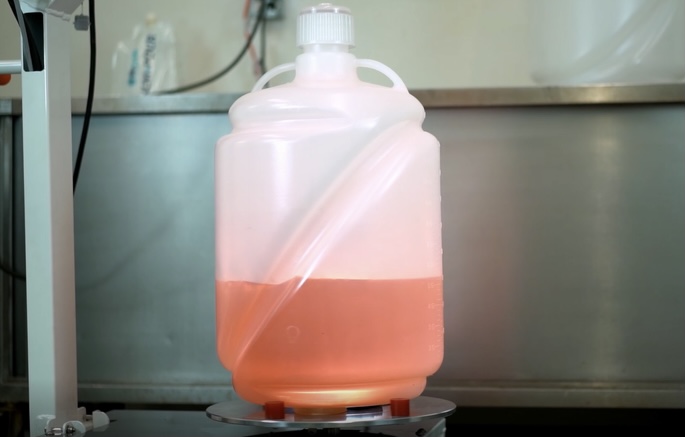 Home - Lifecycle Biotechnologies