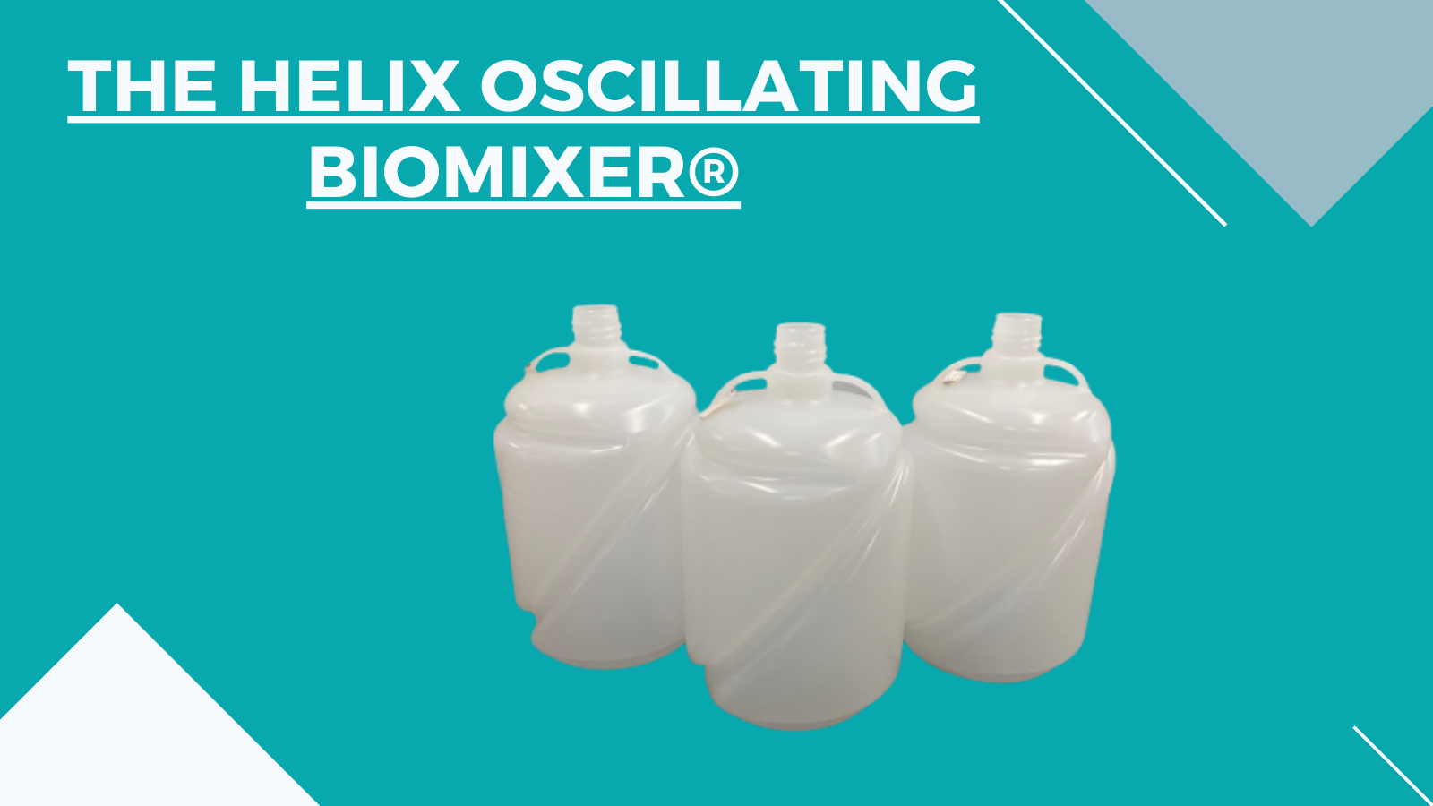 Home - Lifecycle Biotechnologies